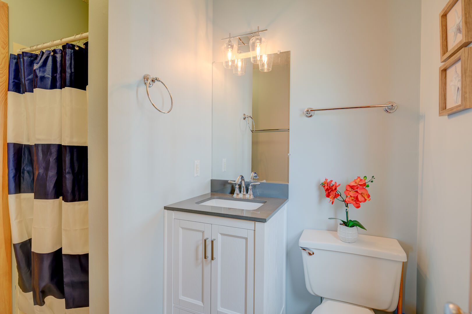 Home ⋆ Whalebone OBX